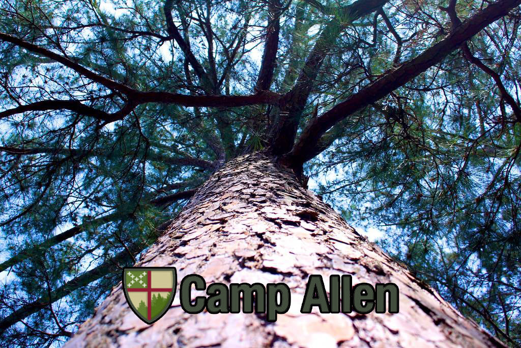 Fun Times at Camp Allen