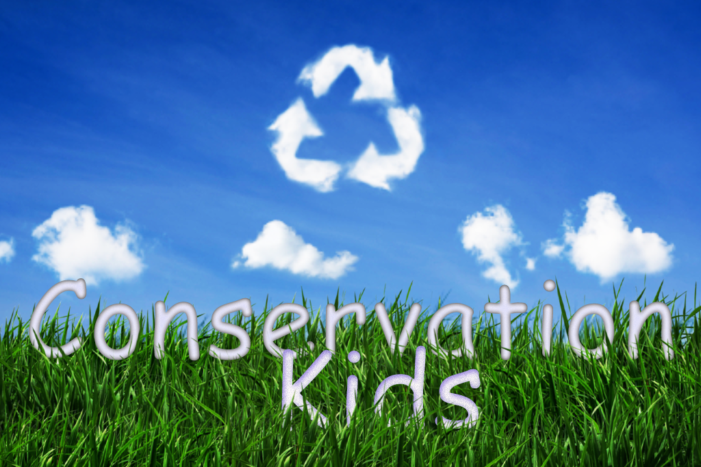 Serve to Conserve