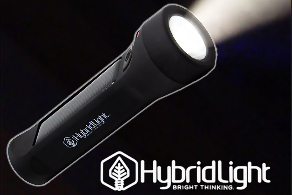 Hybrid Light Your Way to 2023