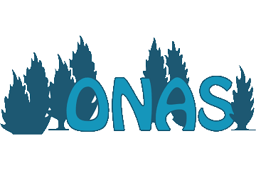 Check out the Camp Onas Fun!