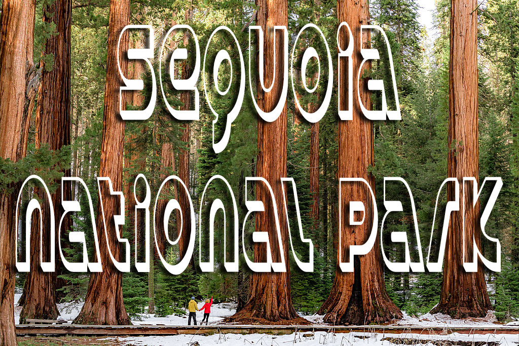 Exploring the Giants—A Journey Through Sequoia National Park