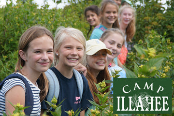 Three More Camp Entries